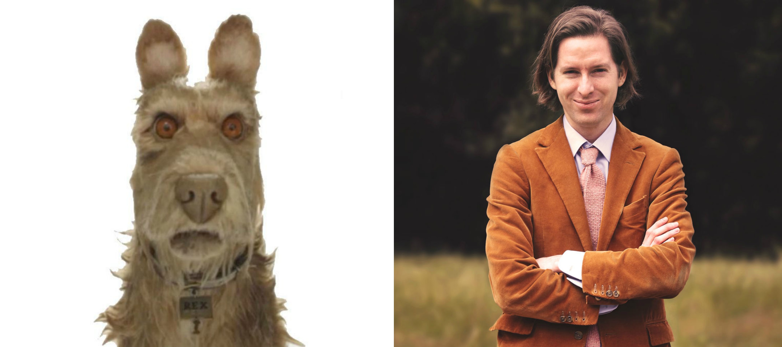 Isle of Dogs, de Wes Anderson, presenta un nuevo tráiler - Tomatazos