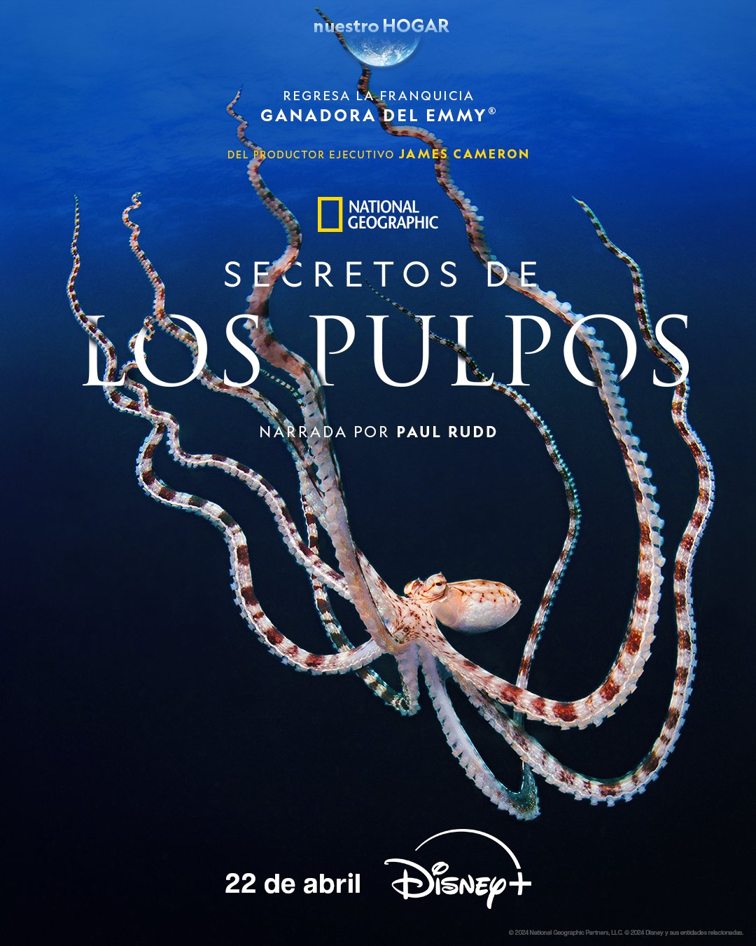 Los Secretos de los Pulpos - Tomatazos